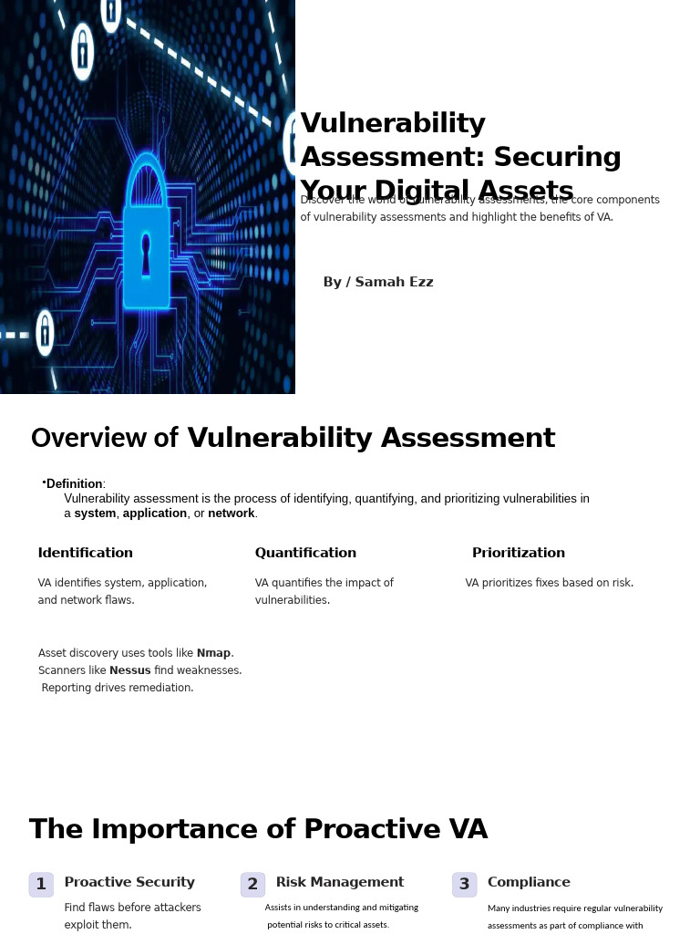 3 Vulnerability Assessment Securing Your Digital Assets | PDF ...