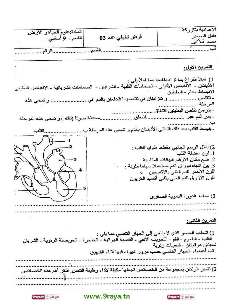Devoir de Synthese N 2 SVT 9eme | PDF