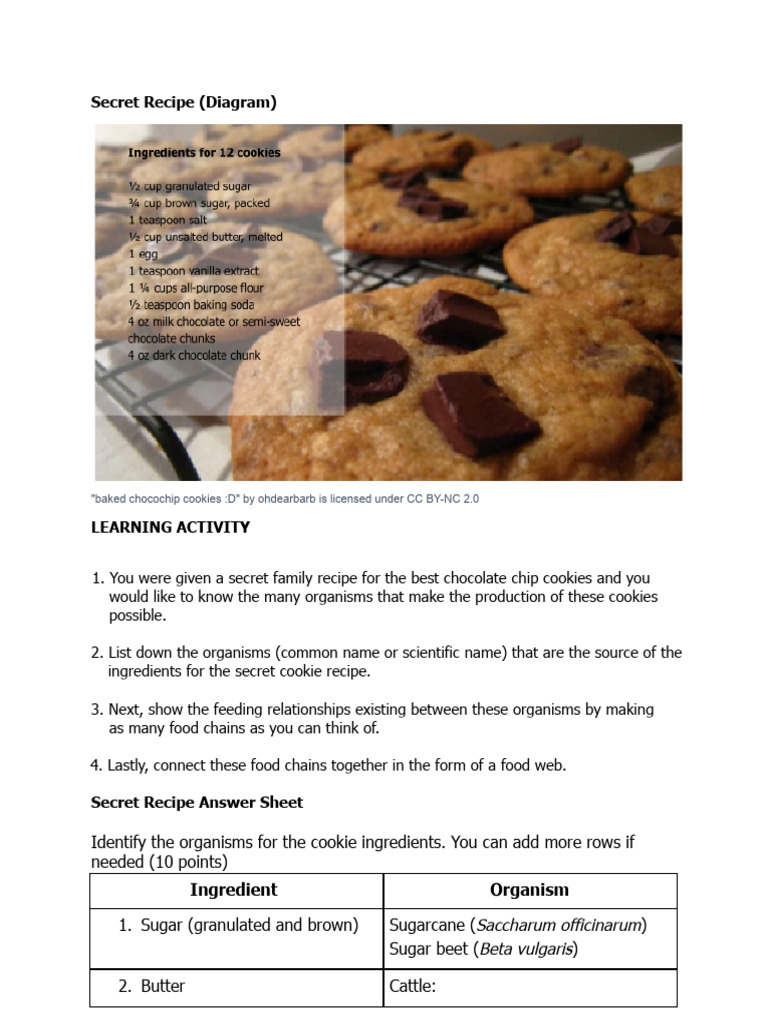 Activity 3 Secret Recipe Diagram Alon | PDF | Chocolate | Cattle