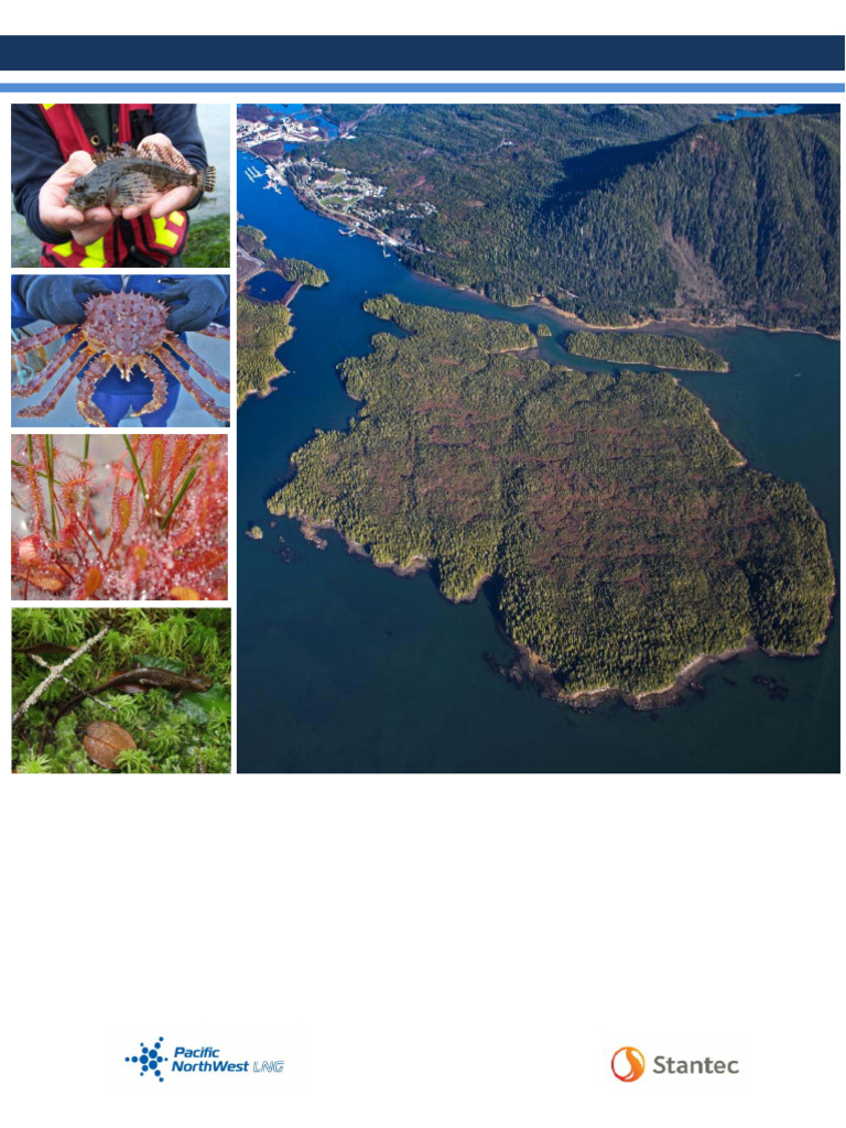 98729E PNW LNG Stantec | PDF | Liquefied Natural Gas | Natural Gas