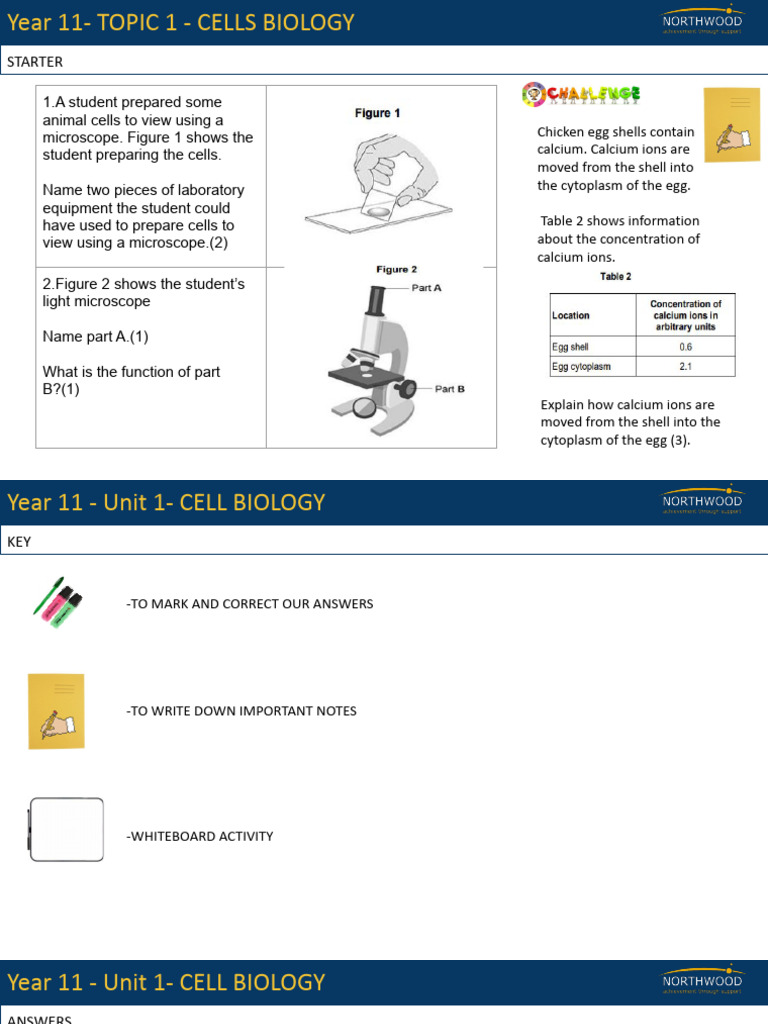 Year 11 Cell Biology Overview | PDF | Cell (Biology) | Prokaryote