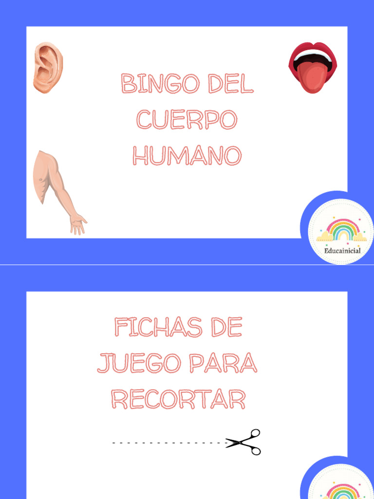 BINGO Partes Del Cuerpo | PDF