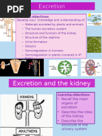? Excretion - Grade 11 Life Sciences | PDF
