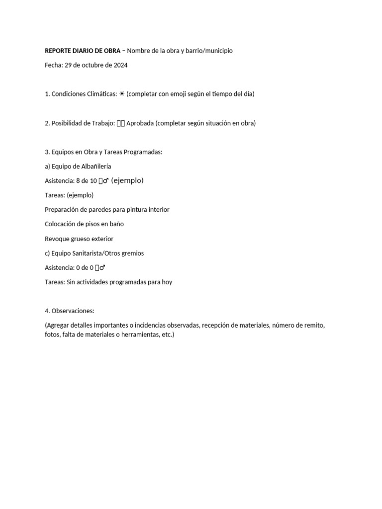 Reporte Diario de Obra - 29 Oct 2024 | PDF