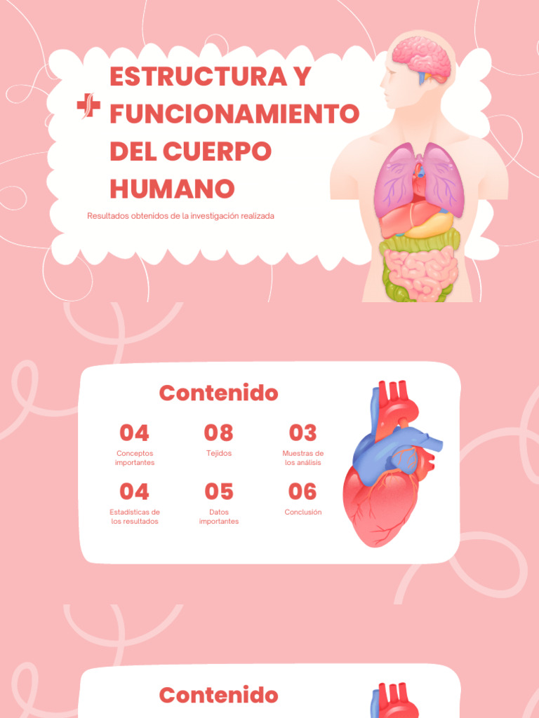 Estructura y Función del Cuerpo Humano | PDF | Músculo | Morfología ...
