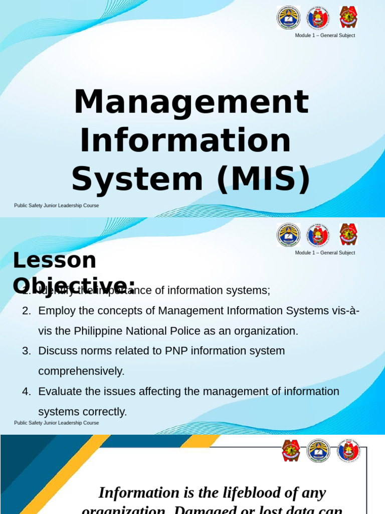 Management Information System (MIS) | PDF | System | Information