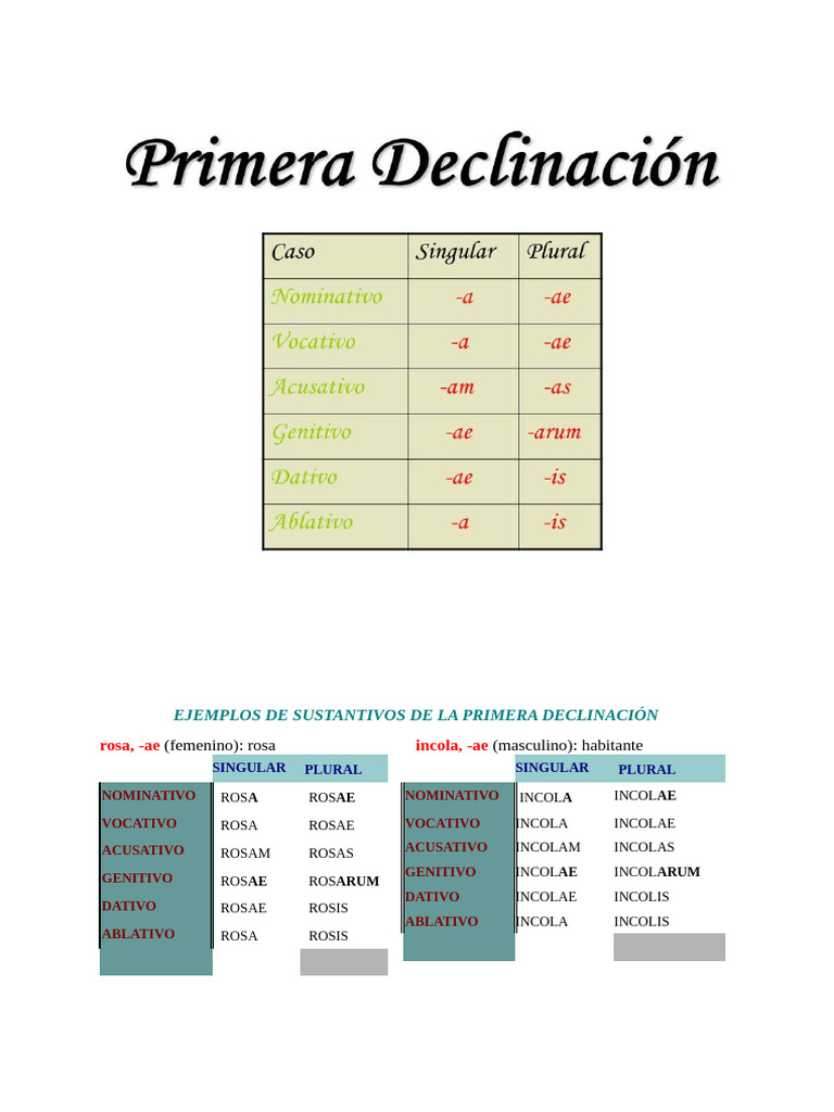Primera Declinación Latina | PDF