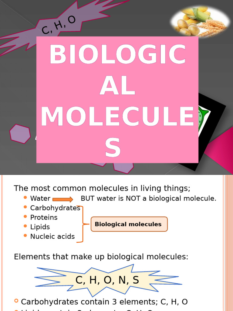 Biological Molecules | PDF | Carbohydrates | Biomolecules