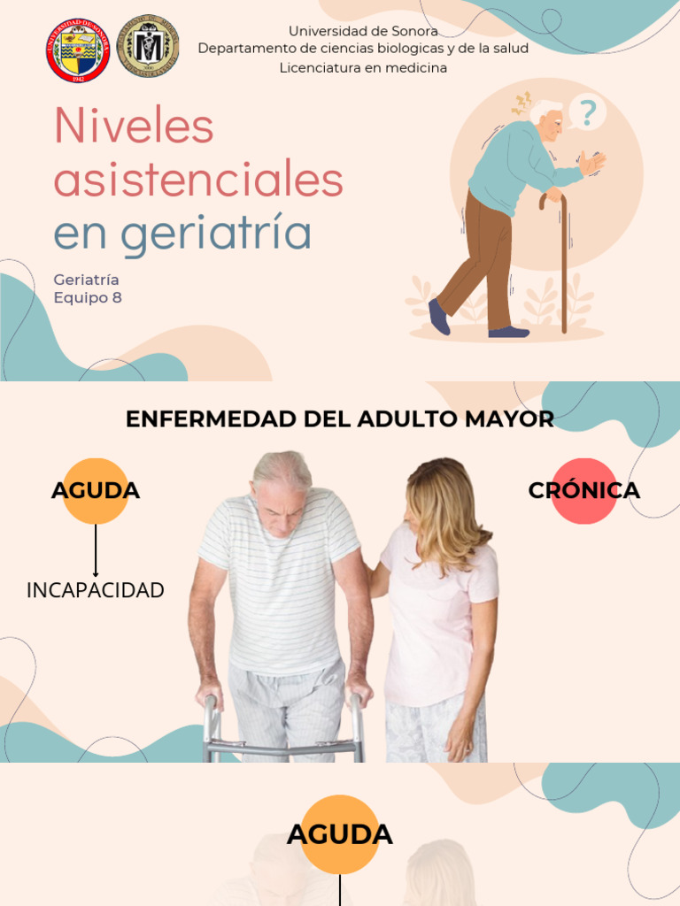E8 Niveles Asistenciales en Geriatría | PDF | Hospital | Geriatría