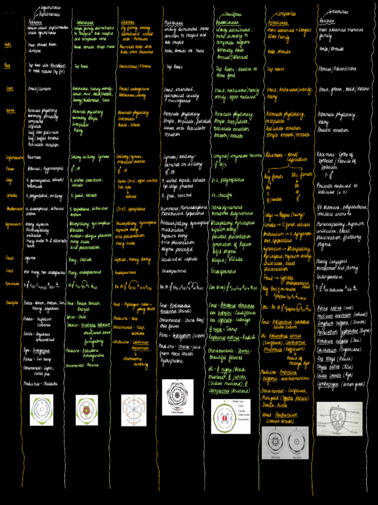 Morphology Families | PDF
