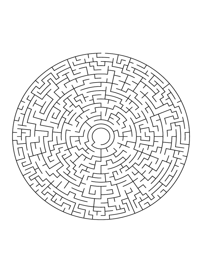 40 Cells Diameter Theta Maze | PDF