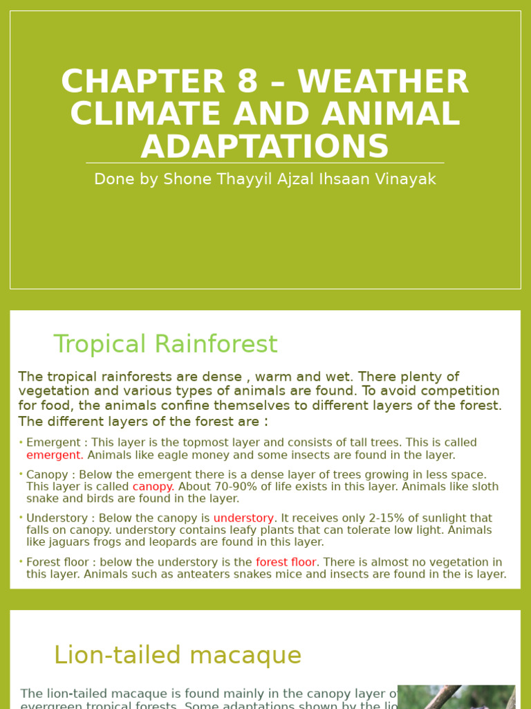 Chapter 8 - Weather Climate and Animal Adaptations | PDF | Rainforest ...