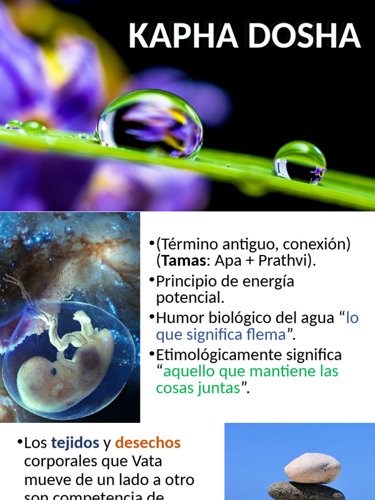 Propiedades y Funciones de Kapha Dosha | PDF | Agua