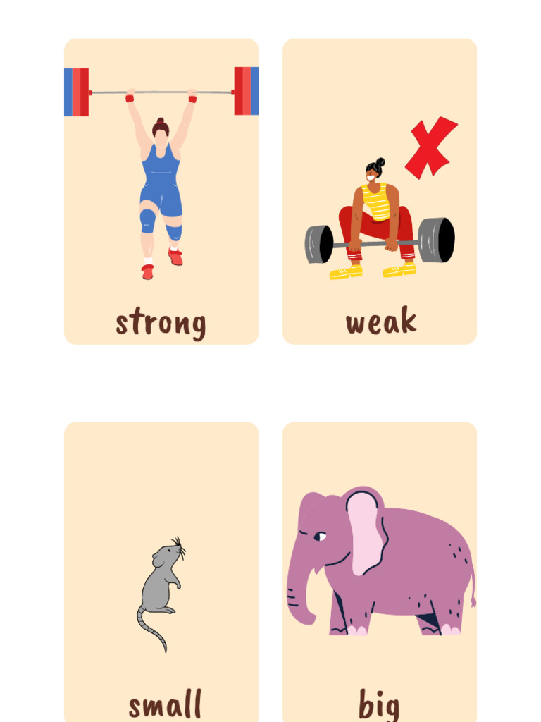 Adjectives Flashcards | PDF