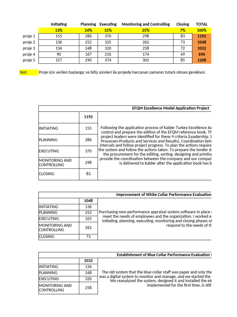4. PMP Başvuru Draft Format | PDF | Project Management | Performance ...