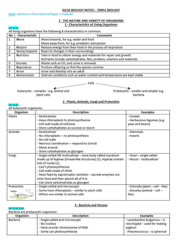 Biology Notes (Triple Biology) | PDF | Photosynthesis | Enzyme