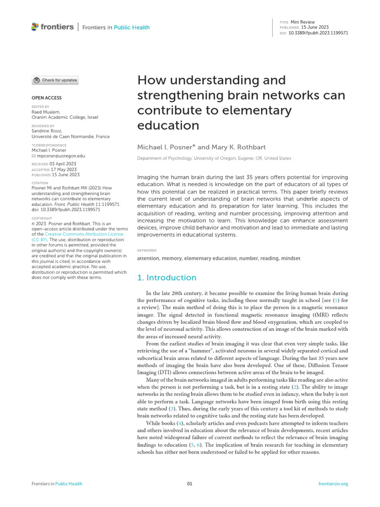 How Understanding and Strengthening Brain Networks | PDF | Phonics ...