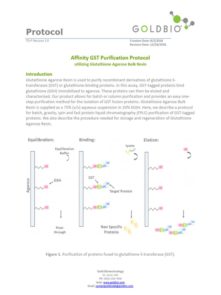 Affinity GST Purification Protocol Utilizing Glutathione Bulk Resin ...