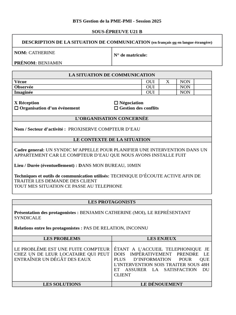 Communication en anglais BTS GPME 2025 | PDF