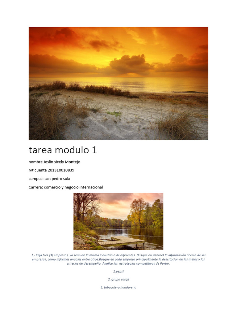 Tarea Modulo 1 | PDF | Business | Marca