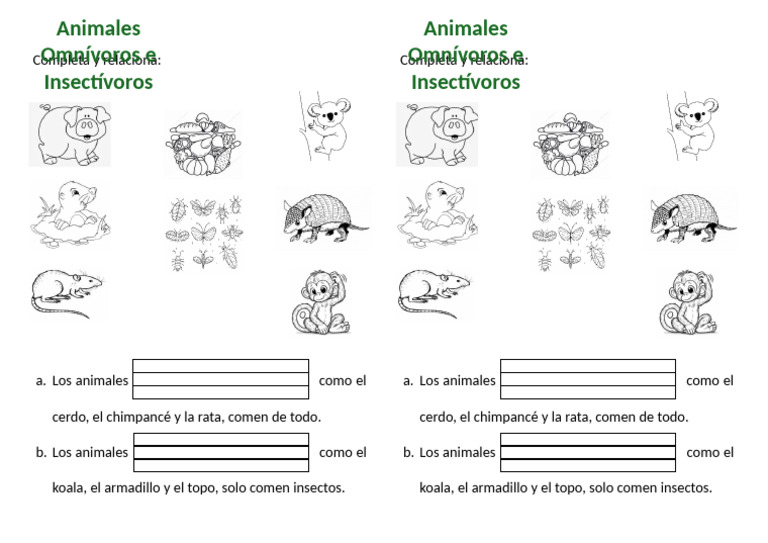 Ficha Animales Omnivoros e Insectivoros 1 | PDF