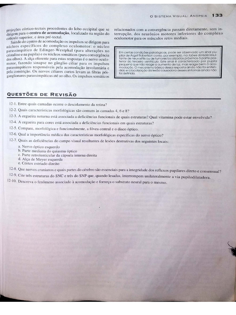 Sistema Visual anopsia | PDF