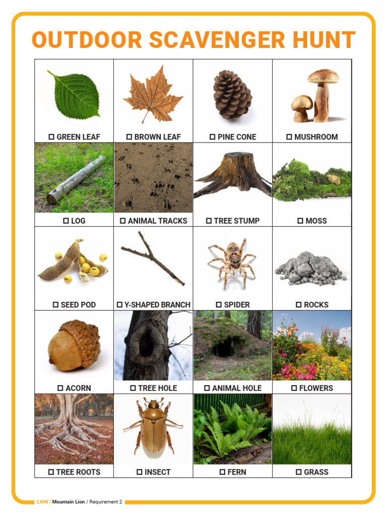 Outdoor Scavenger Hunt Checklist | PDF