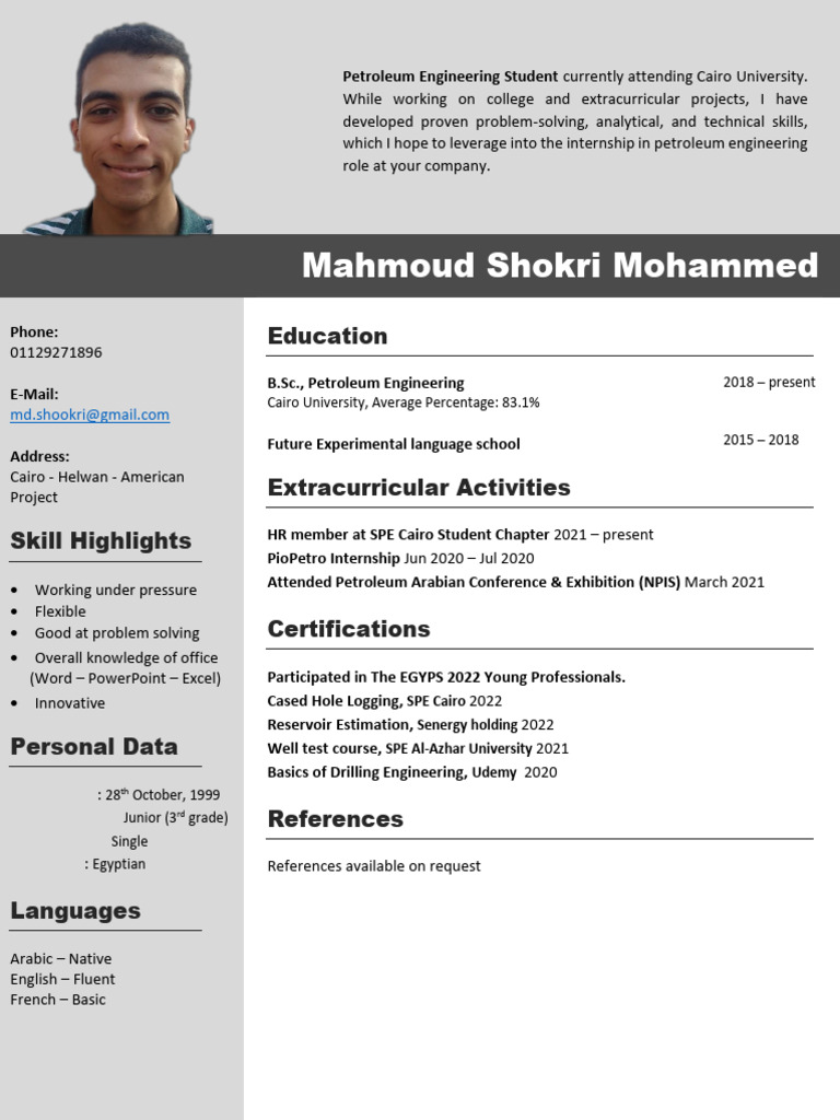 Petroleum Engineering Student Profile | PDF
