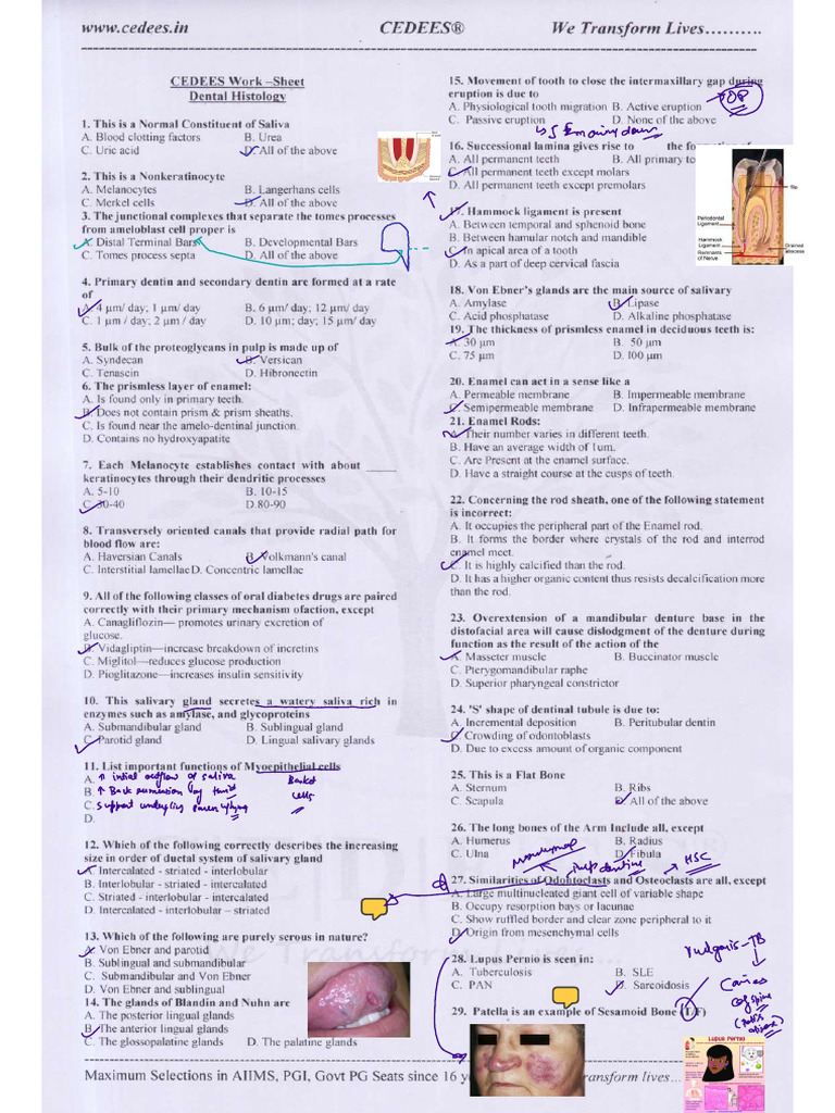 6289bc8f0cf20e1b09eb4387_open_book | PDF