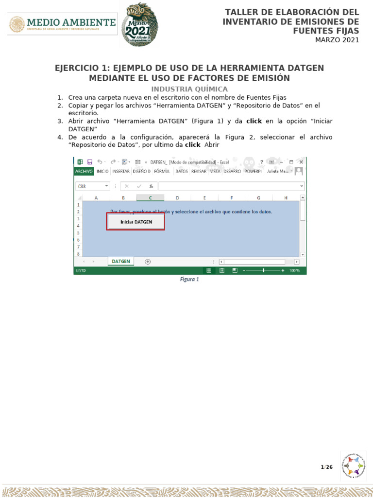 Ejemplo de Llenado de DATGEN - FE - VF | PDF | Chimenea