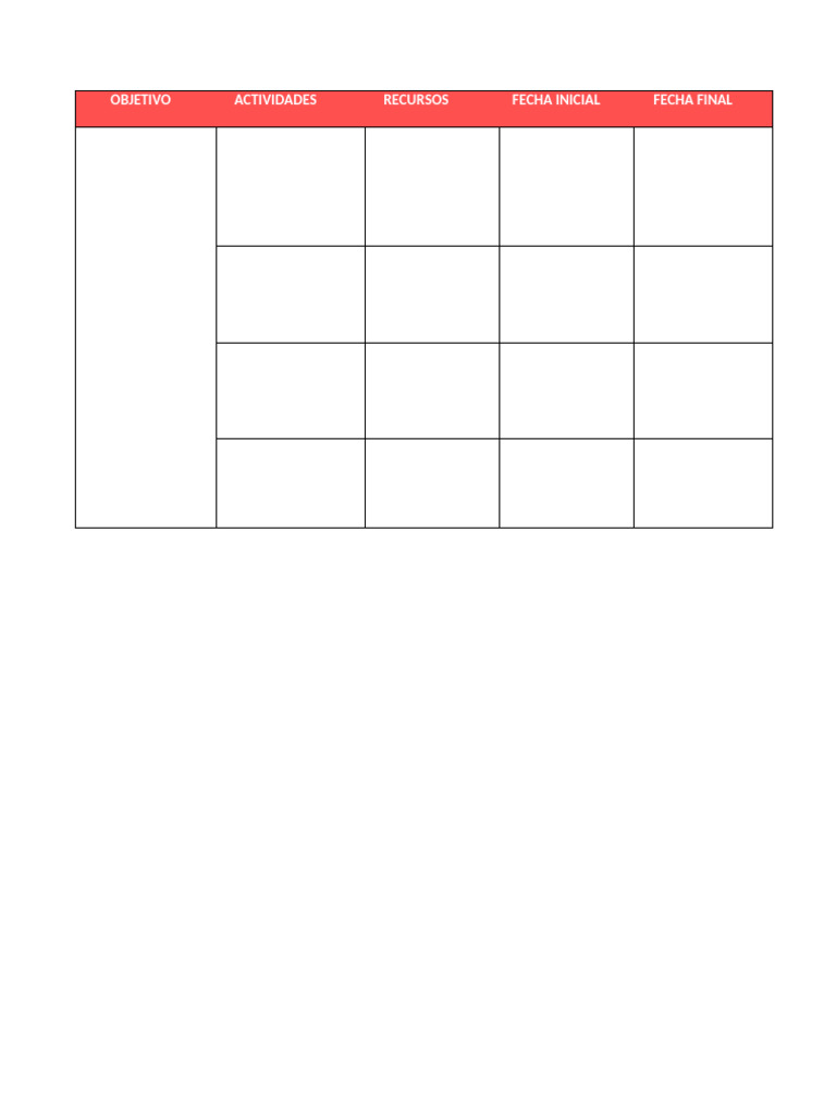 Plan de Accion1 | PDF