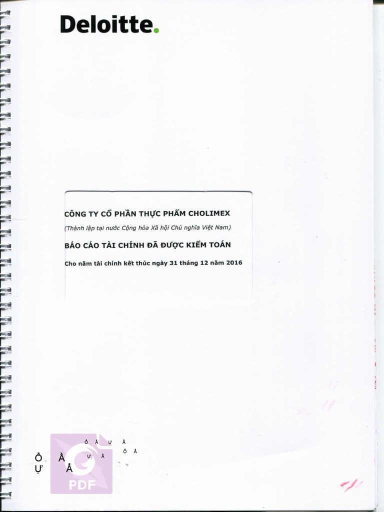 BCTC Cty CPTP Cholimex - 2016-Data - Kreston.vn | PDF