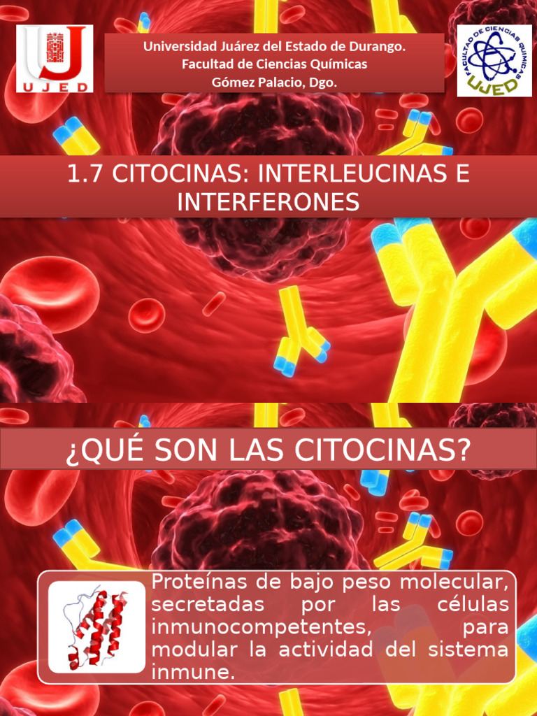 1.7 Citocinas e Interleucinas | PDF | Citocina | Sistema inmune