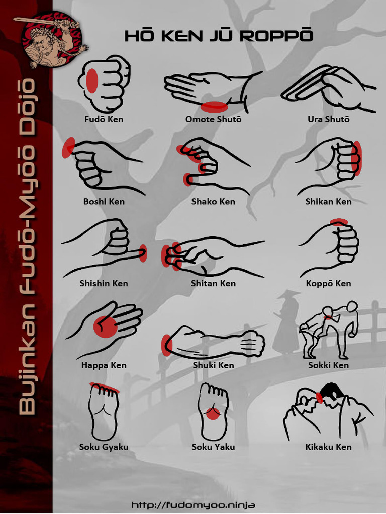 Basics 5 Hokenjuroppo | PDF