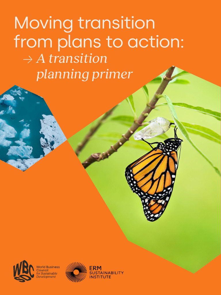 Moving Transition From Plans To Action | PDF | Sustainability | Risk