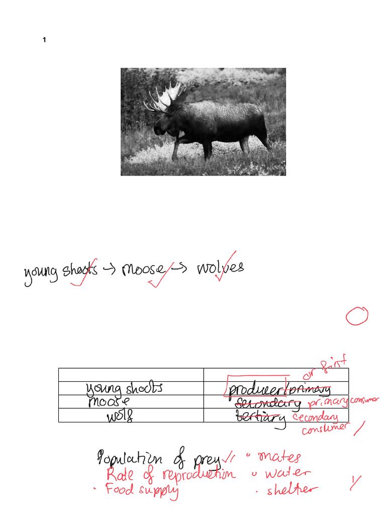Moose-Wolf Ecosystem Dynamics Study | PDF | Pea | Root
