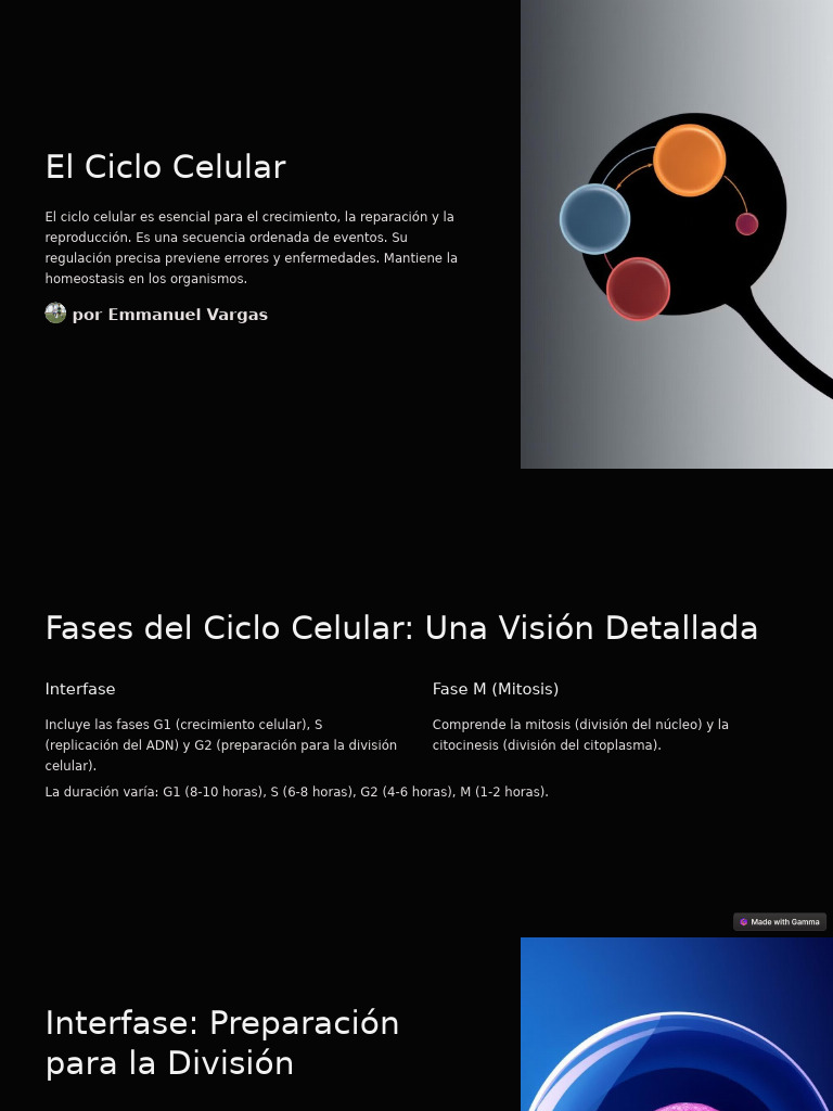 El Ciclo Celular | PDF | Mitosis | Biología Celular