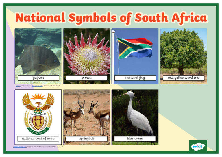National Symbols of South Africa Explained | PDF
