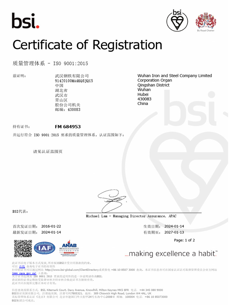 ISO9001 - Wuhan Iron and Steel Company Limited - Valid Till 01-13-2027 ...
