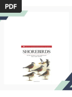 Colour Prediction | PDF