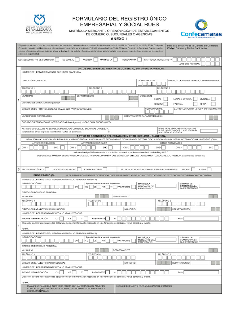 Nuevo Formulario Est, Suc, Age | PDF