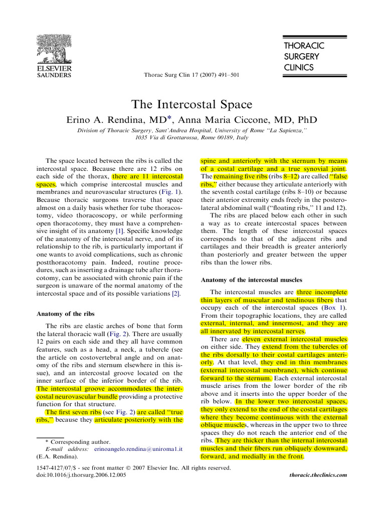 04 - The Intercostal Space | PDF | Thorax | Thorax (Human Anatomy)