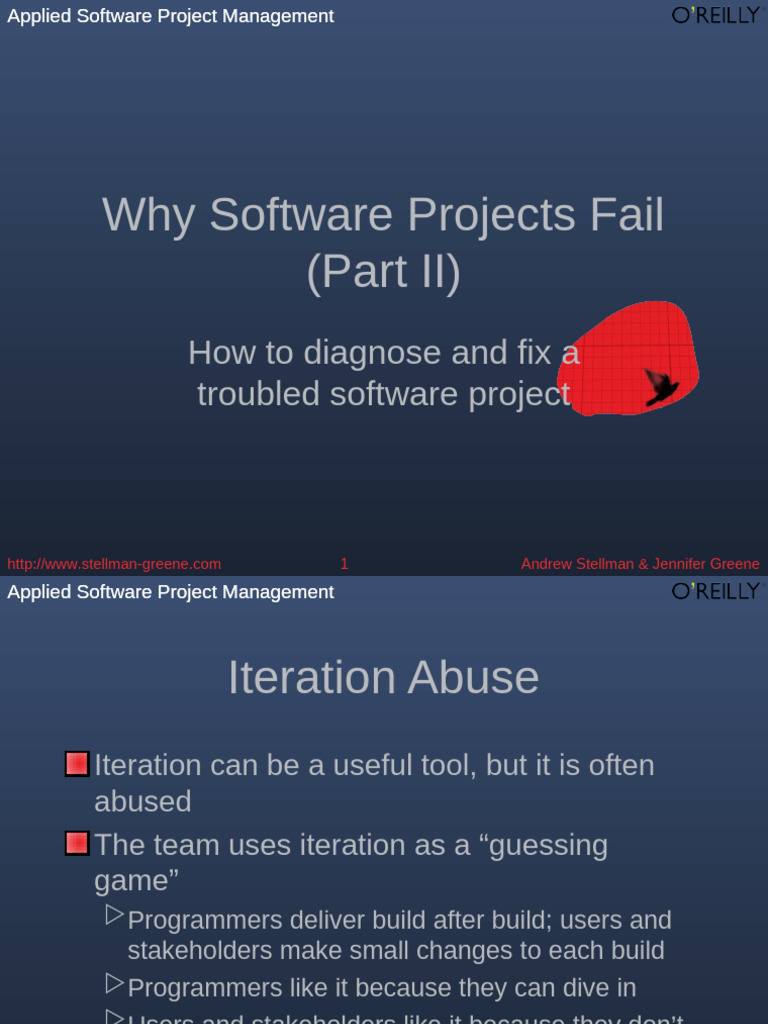Diagnosing Software Project Failures | PDF | Software Testing | Software