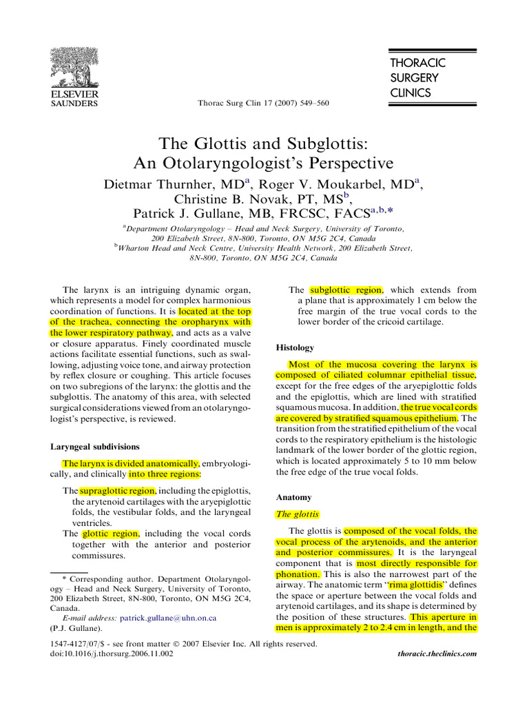 Anatomy of the Glottis and Subglottis | PDF | Larynx | Human Head And Neck