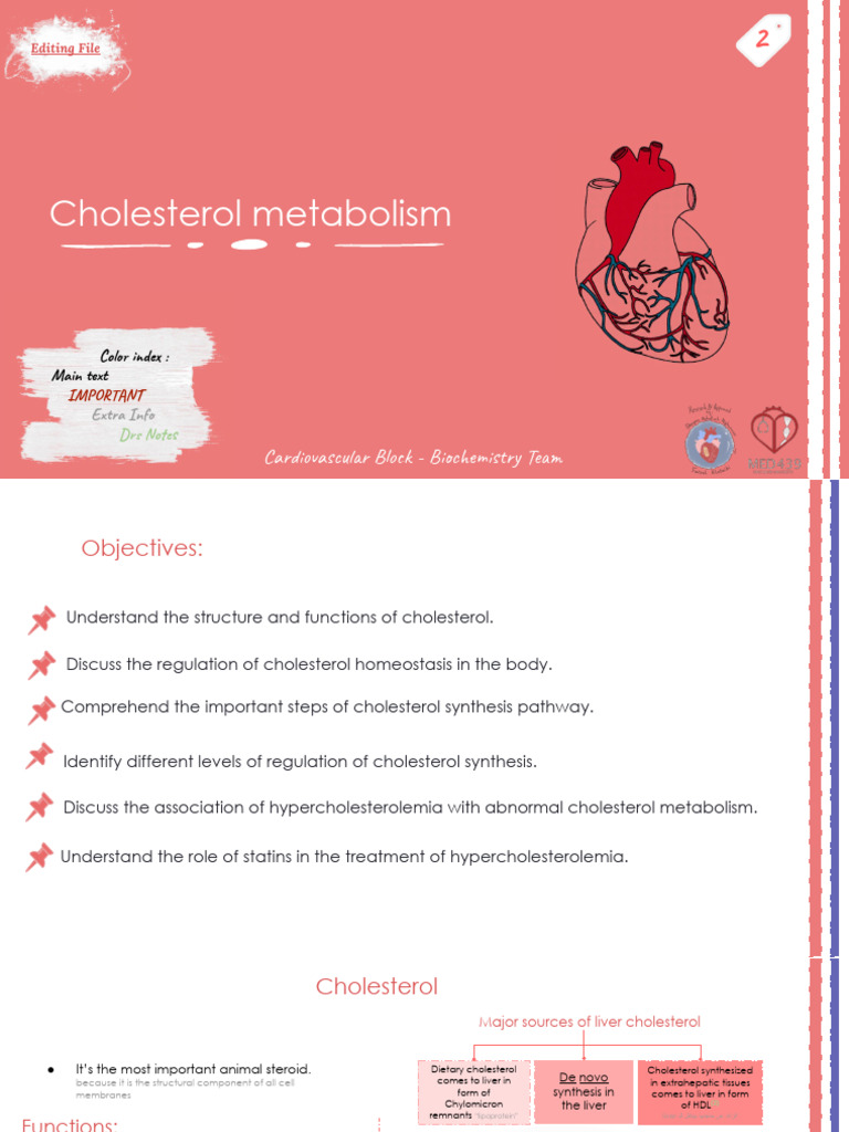 2 - Cholesterol Metabolism | PDF | Cholesterol | Molecular Biology