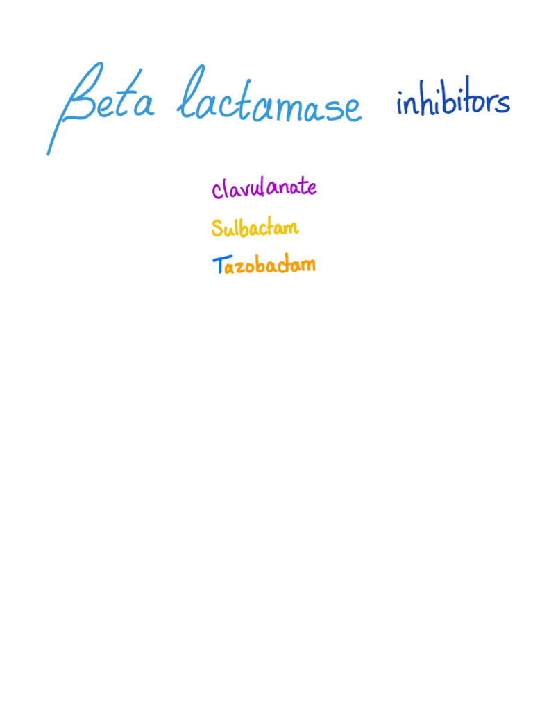 Beta Lactamase Inhibitors | PDF | Beta Lactamase | Penicillin