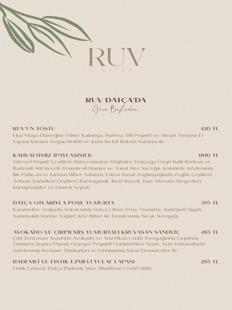 Menu TR | PDF