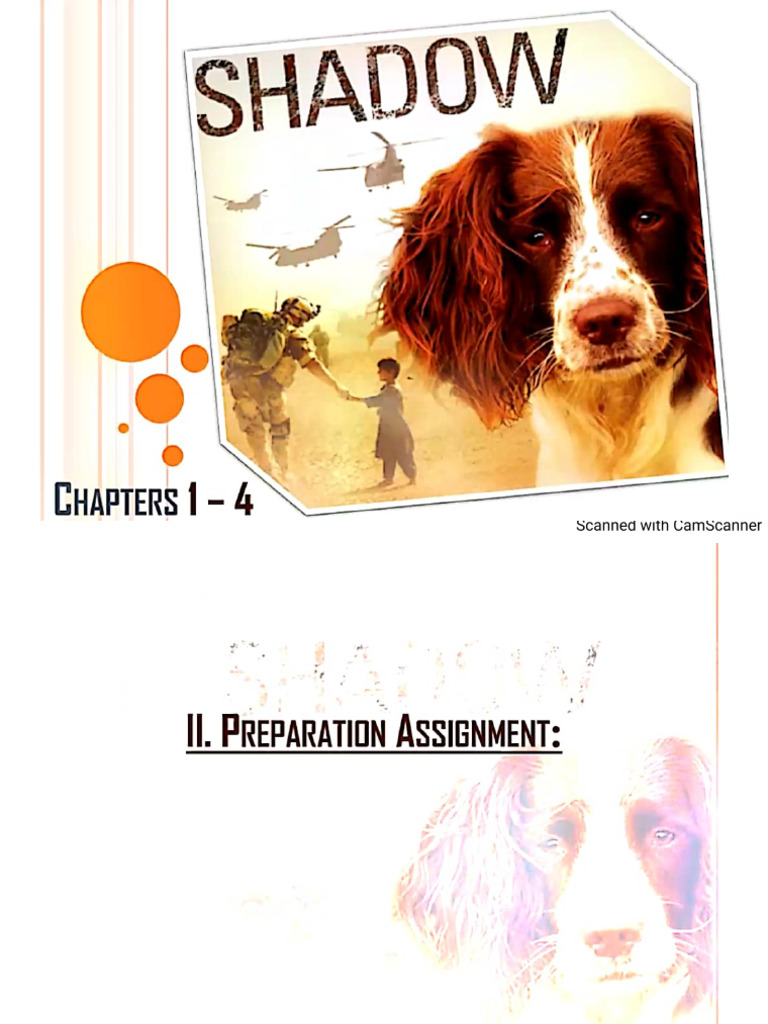 Shadow.. Chapter 1-4 | PDF