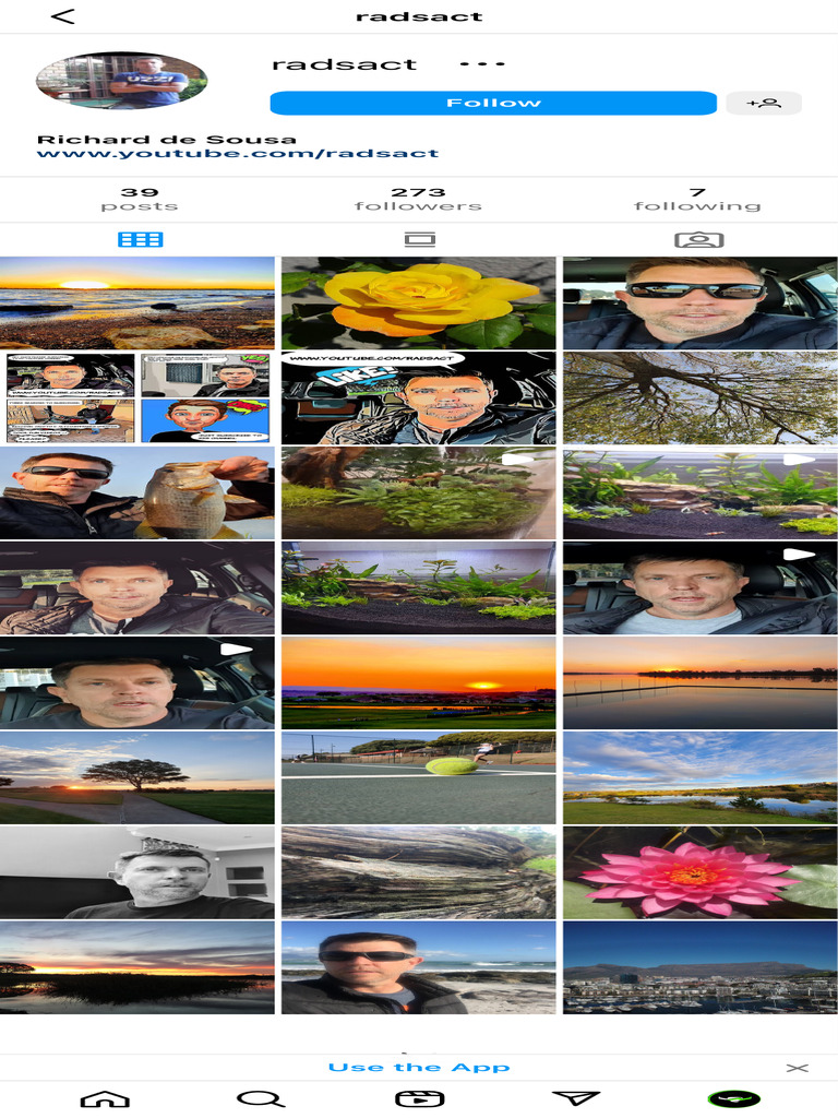 Richard de Sousa (@Radsact) • Instagram Photos an… | PDF