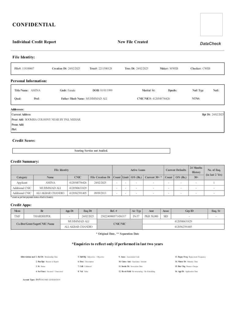 Individual Credit Report for Amina | PDF | Personal Finance | Credit